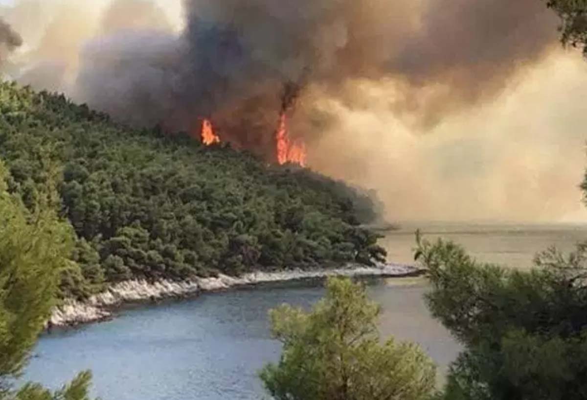 Από «ανθρώπινο χέρι» η φωτιά στη Σκόπελο- Παρέα νεαρών ήταν στην ...
