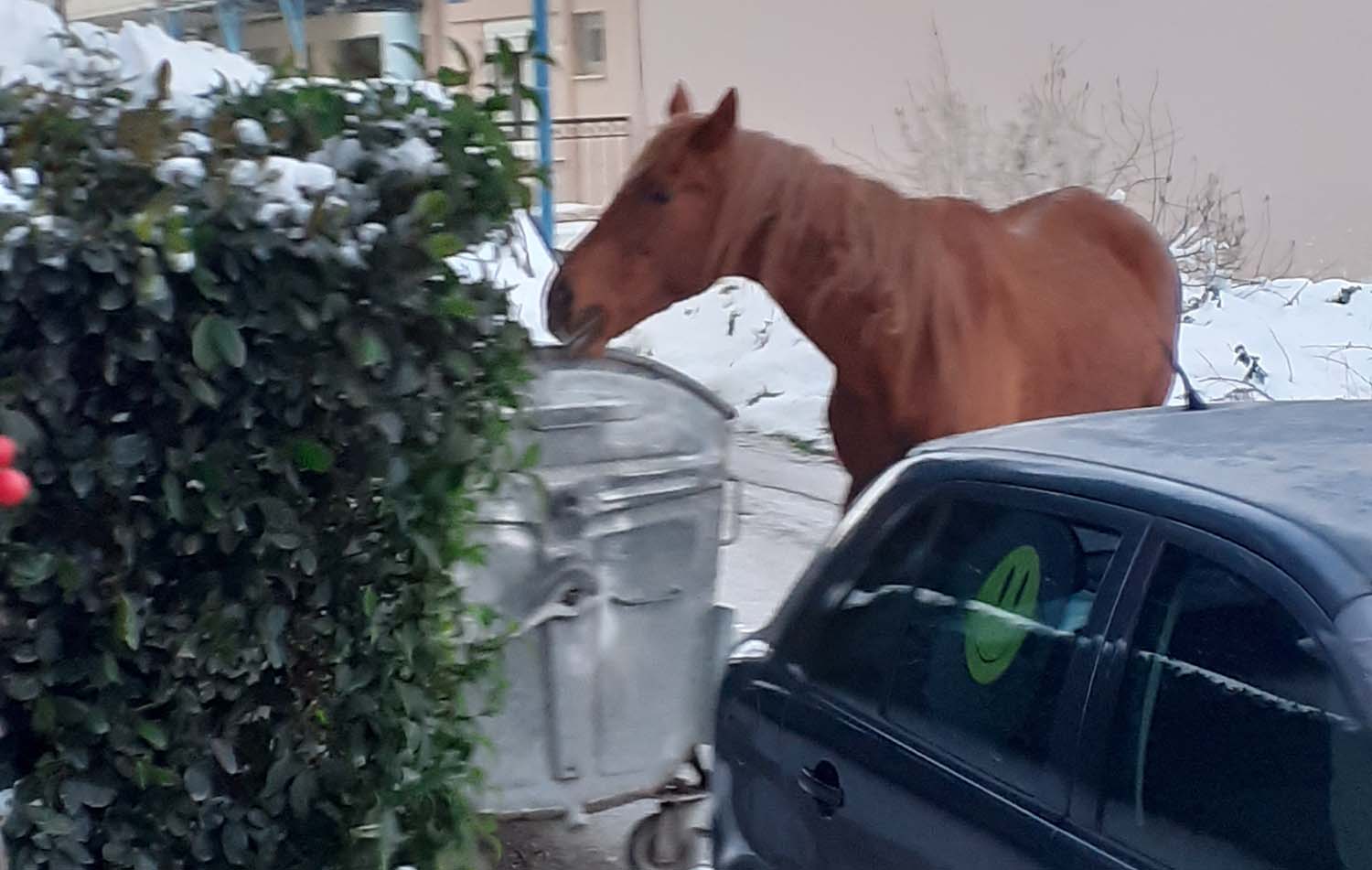 Δείτε φωτογραφίες: Αυτός είναι ο δρόμος της Λάρισας στον οποίο ...