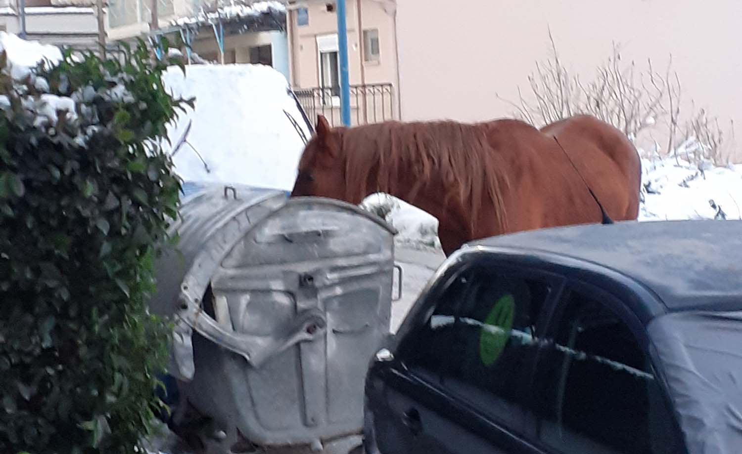 Δείτε φωτογραφίες: Αυτός είναι ο δρόμος της Λάρισας στον οποίο ...