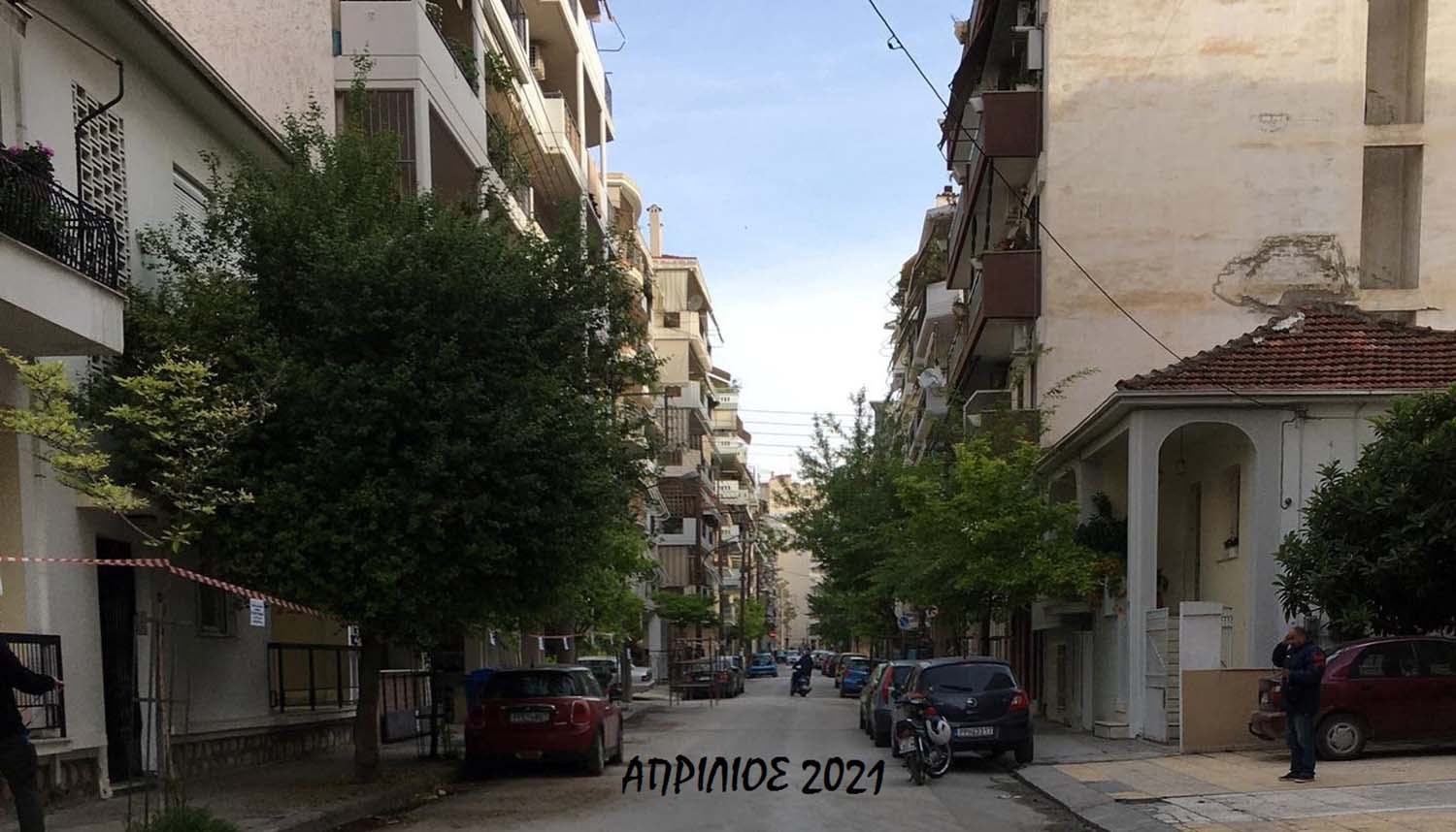 Αγορίτσας: «Πόσα δέντρα θα γίνουν θυσία για έναν δρόμο ήπιας ...