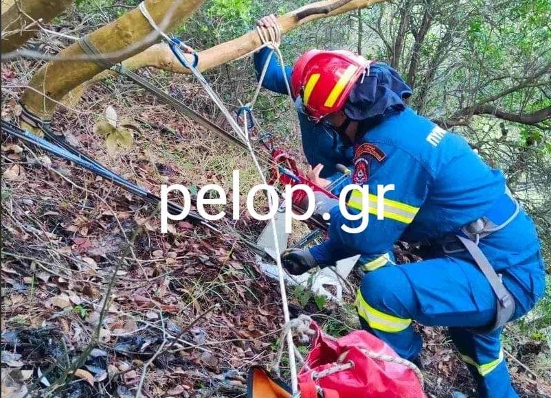 Αχαΐα – Επιχείρηση απεγκλωβισμού σκύλου – Έπεσε σε χαράδρα 60 μέτρων ...