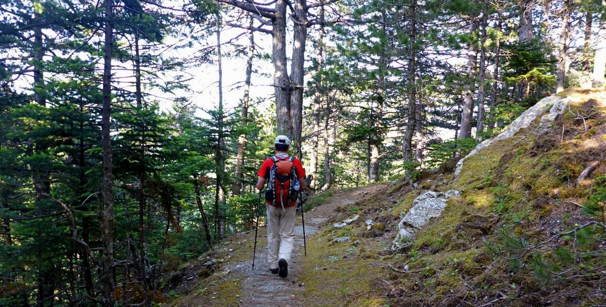 Αυτά είναι τα μονοπάτια για πεζοπορία στο νομό Λάρισας που θα σας ...