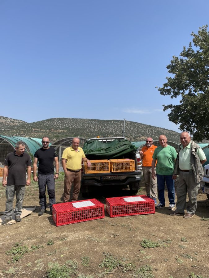 Ολοκληρώθηκε από την Ζ' Κυνηγετική Ομοσπονδία ο εμπλουτισμός βιοτόπων ...