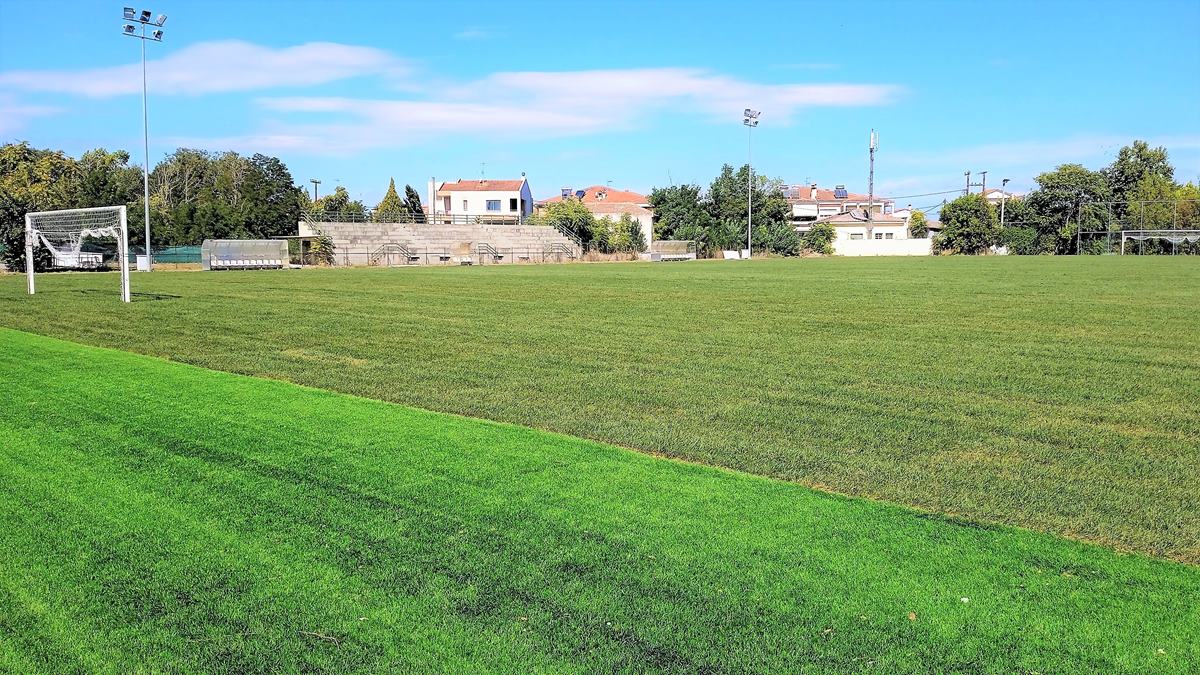 Νέος χλοοτάπητας στο γήπεδο ποδοσφαίρου στη Νίκαια – ONLARISSA.GR Νέα ...