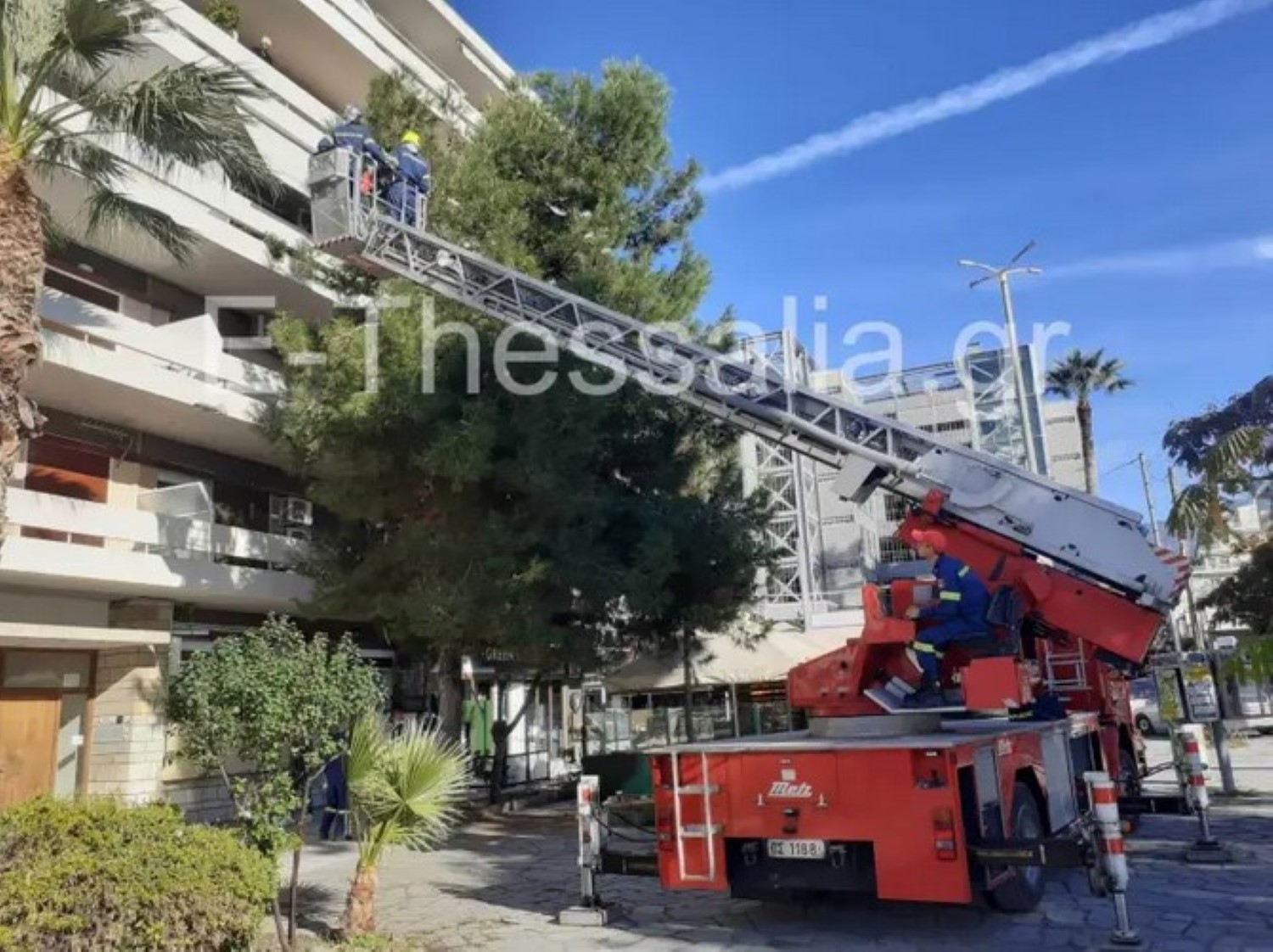 Επιχείρηση "γατάκι" στο Βόλο (φωτό) – ONLARISSA.GR Νέα Ειδήσεις Λάρισα