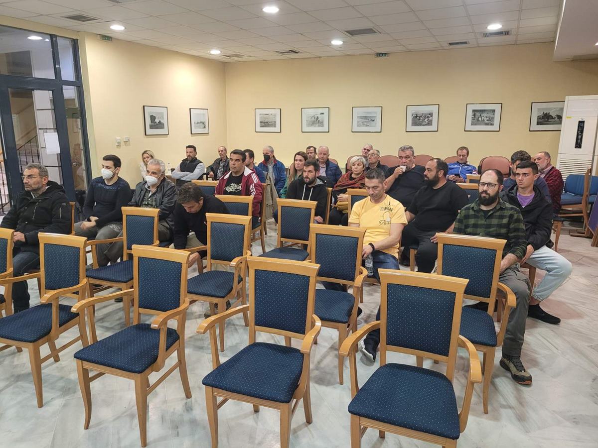 Με γιορτή μελιού στη Λάρισα σχεδιάζει ο Μελισσοκομικός Σύλλογος την ...