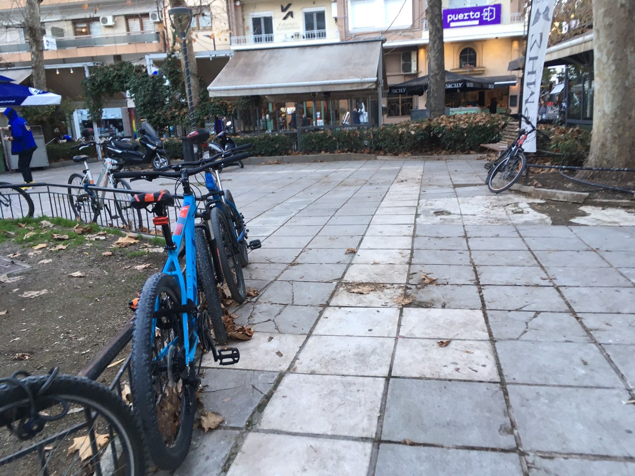 Κατειλημμένα όλα τα δέντρα και οι κολόνες στο κέντρο της Λάρισας ...