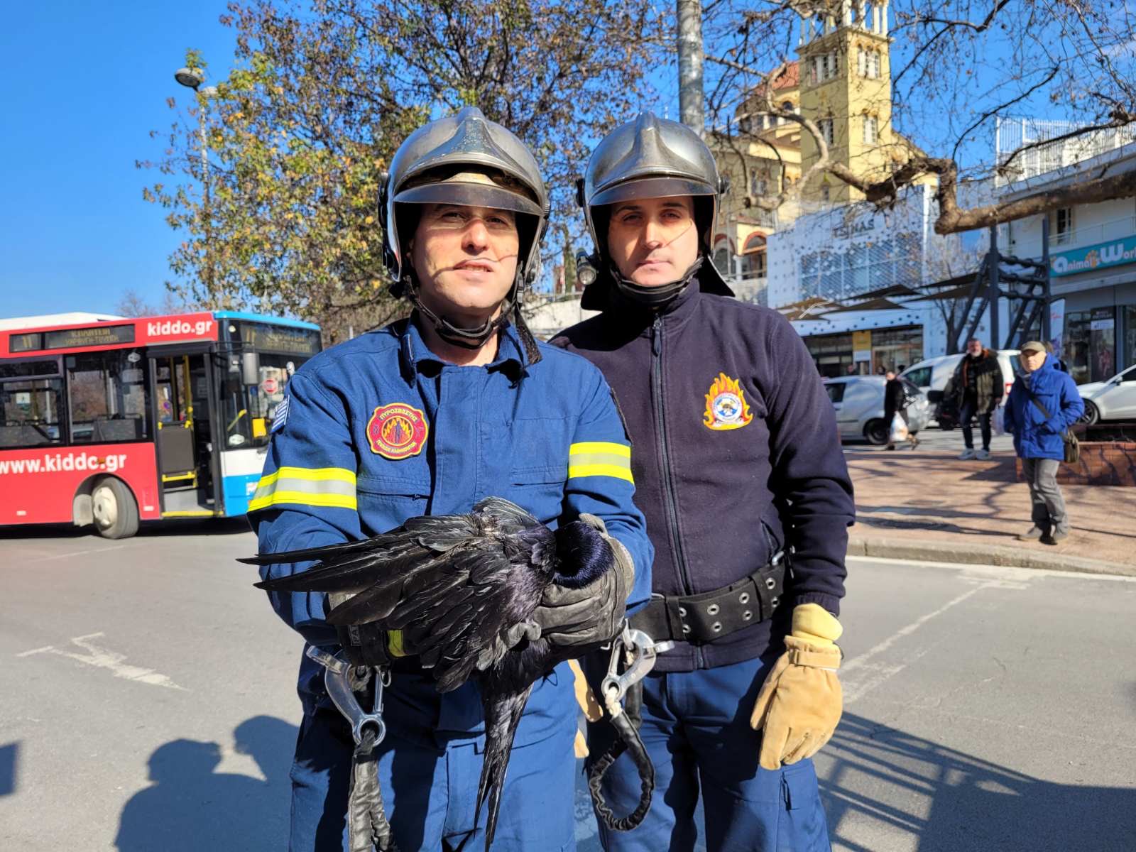 Δείτε βίντεο και φωτογραφίες: Πυροσβέστες έσωσαν τραυματισμένο πουλί ...