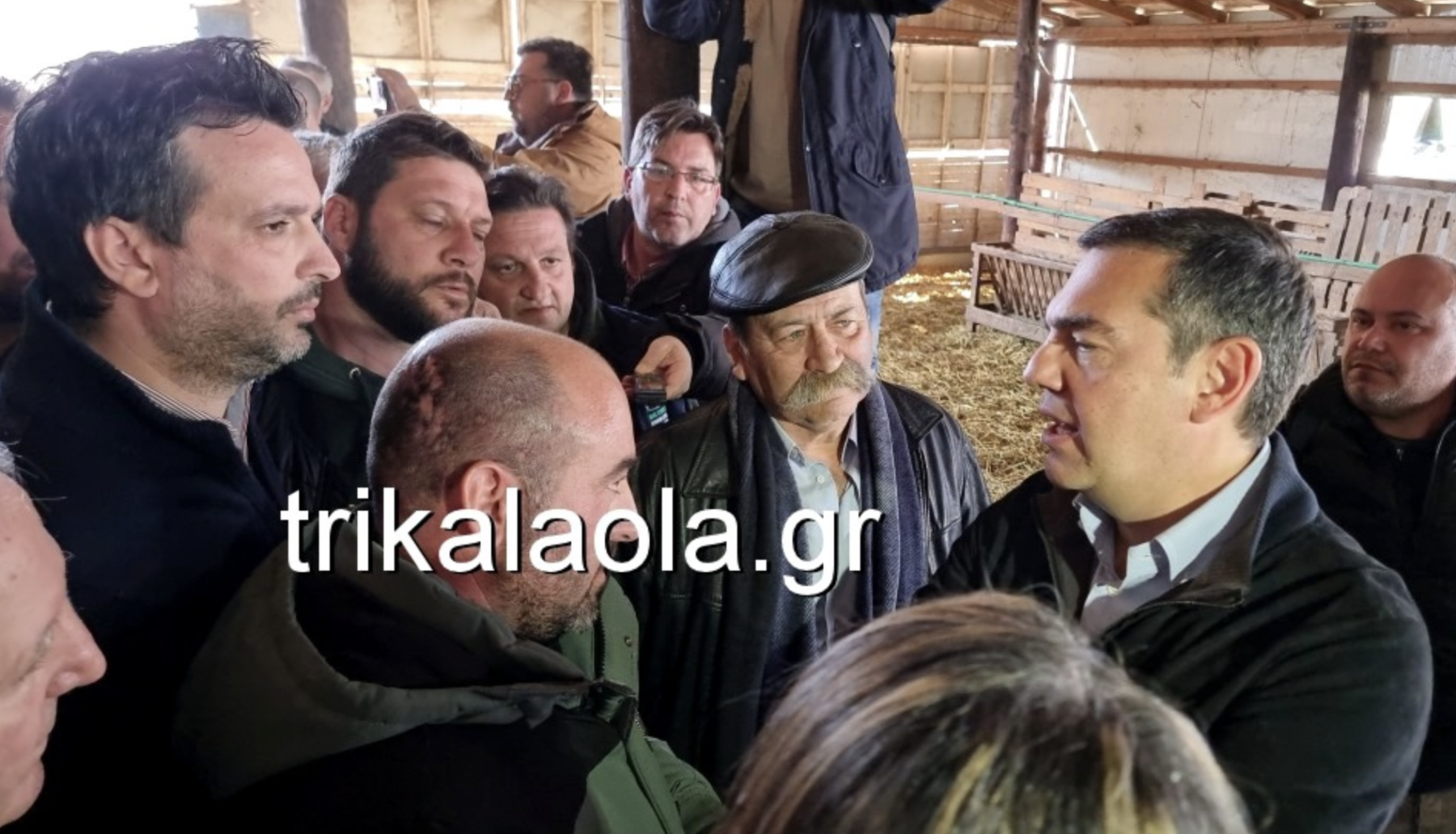 Τρίκαλα: Ο Αλέξης Τσίπρας μέσα στο μαντρί με τα πρόβατα (φωτο - βίντεο ...