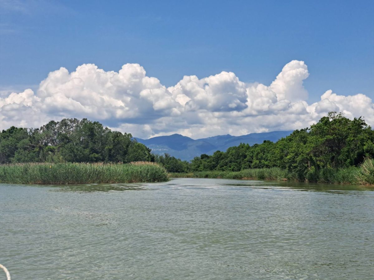 Η περιοχή της Λάρισας που θυμίζει αμερικάνικο νότο: Τα άγνωστα ...