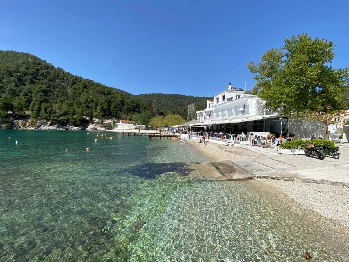 Μία από τις ομορφότερες γωνιές της Σκοπέλου - Με πεύκα και γαλανά νερά ...