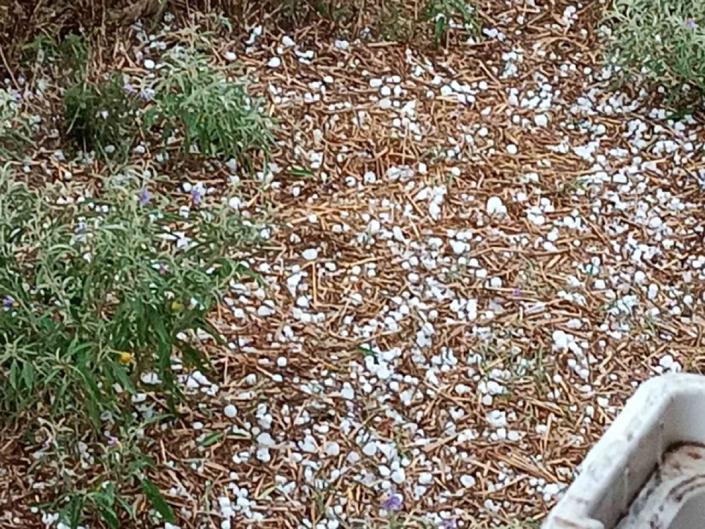 Σφοδρή χαλαζόπτωση έπληξε το Δαμάσι Τυρνάβου – ONLARISSA.GR Νέα ...