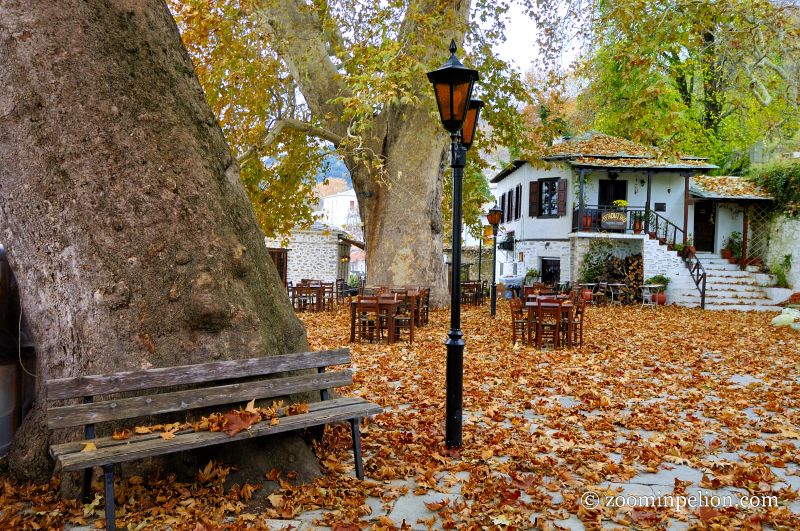 Από πού πήρε το όνομα της η Βυζίτσα – Οδοιπορικό στο χωριό του Πηλίου ...