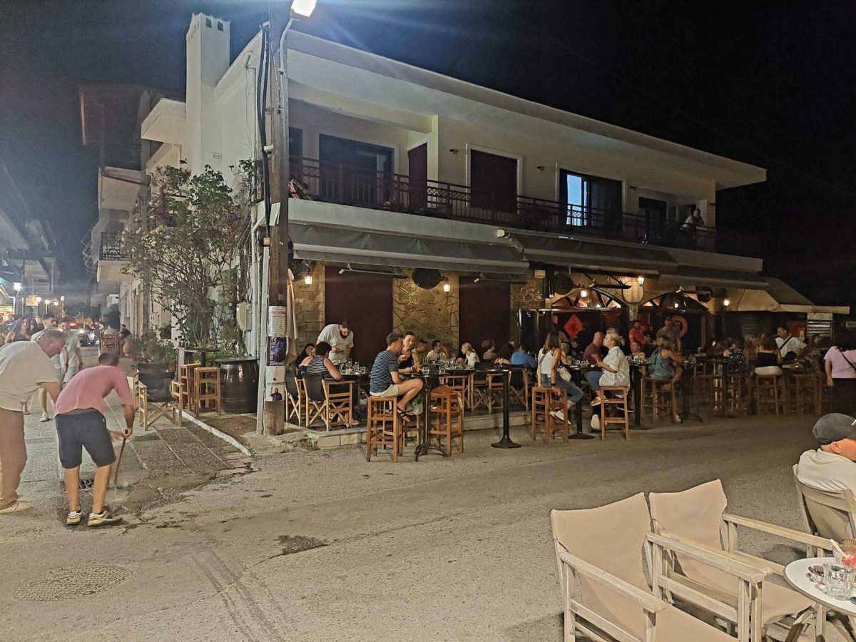 Τρόμος και πανικός στον Πλαταμώνα: Μεγαλόσωμος αδέσποτος σκύλος δάγκωσε ...