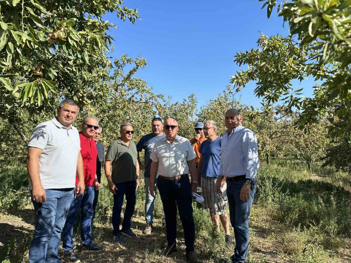 Η Περιφέρεια Θεσσαλίας στο πλευρό των αμυγδαλοπαραγωγών του Συκουρίου ...