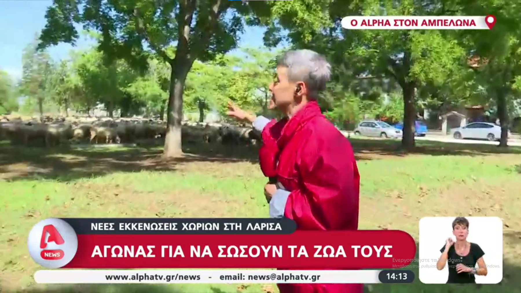 Απελπισμένοι οι κτηνοτρόφοι στον Αμπελώνα από την πλημμύρα - Μάζεψαν τα ...