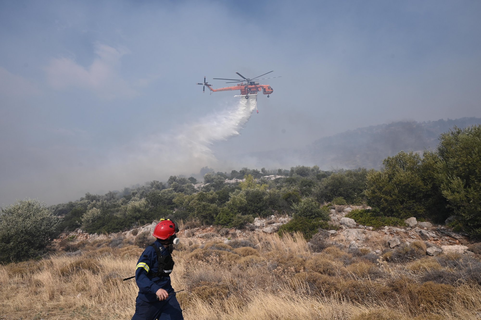 Φωτιά σε δασική έκταση στη Φθιώτιδα – Επιχειρούν και εναέρια μέσα ...