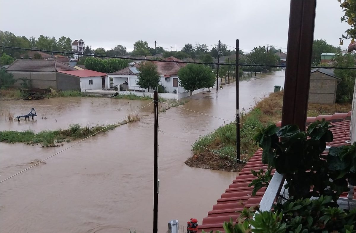 Σε ποιες περιοχές της Λάρισας θα γίνουν αυτοψίες από κλιμάκια της ΔΑΕΦΚ ...