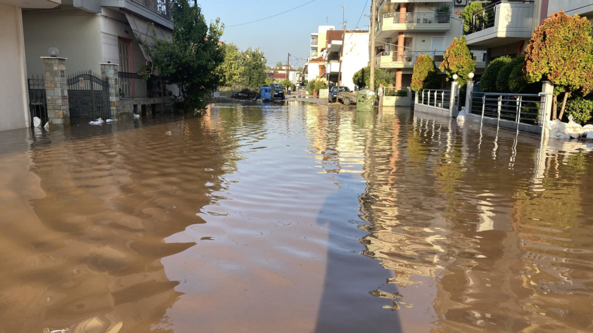 Απίστευτη καταγγελία από Λαρισαίο στο Δημοτικό Συμβούλιο: «Η ΔΕΥΑΛ ...