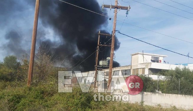 Φωτιά σε εργοστάσιο στην Εύβοια - ONLARISSA.GR Νέα Ειδήσεις Λάρισα