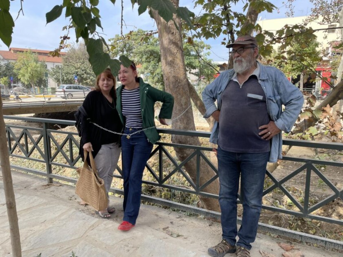 Βόλος: Αλυσοδέθηκαν στα δέντρα στον Κραυσίδωνα για να μην τα κόψουν ...
