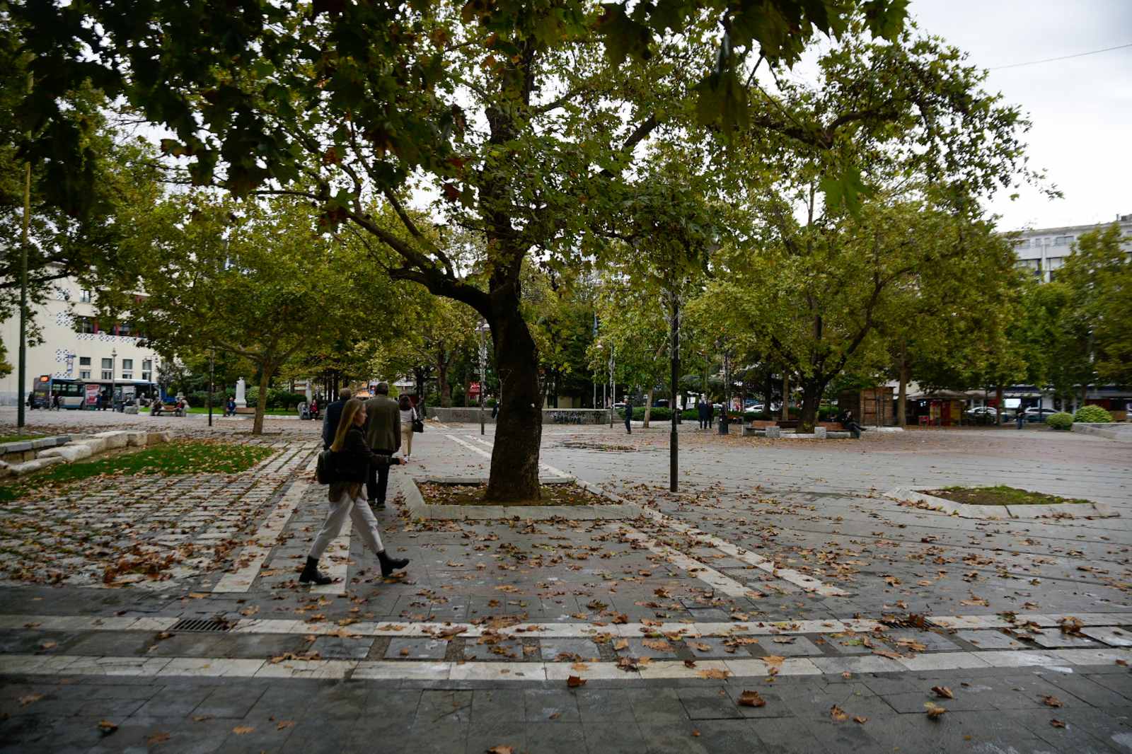 Εικόνες από το φθινοπωρινό σκηνικό στο κέντρο της Λάρισας - ONLARISSA ...