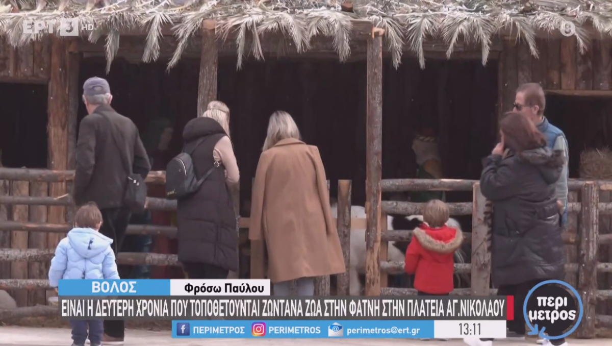 Βόλος: Παρέμβαση Εισαγγελέα για τη φάτνη με τα πρόβατα και το πόνυ ...