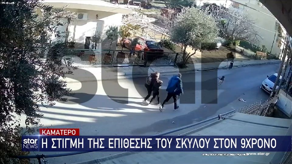 Η στιγμή της επίθεσης του σκύλου στο 9χρονο αγόρι – Σε σοκ το παιδί ...