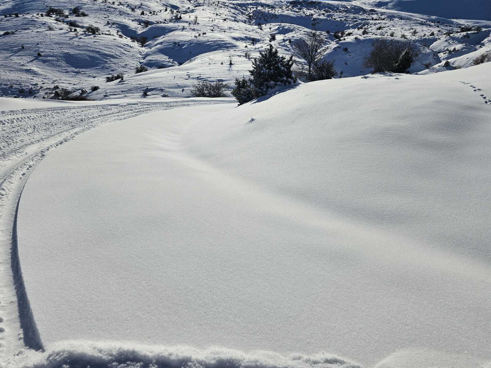 Μαγευτικές εικόνες που καθηλώνουν: Πρωινή βόλτα στον ηλιόλουστο και ...