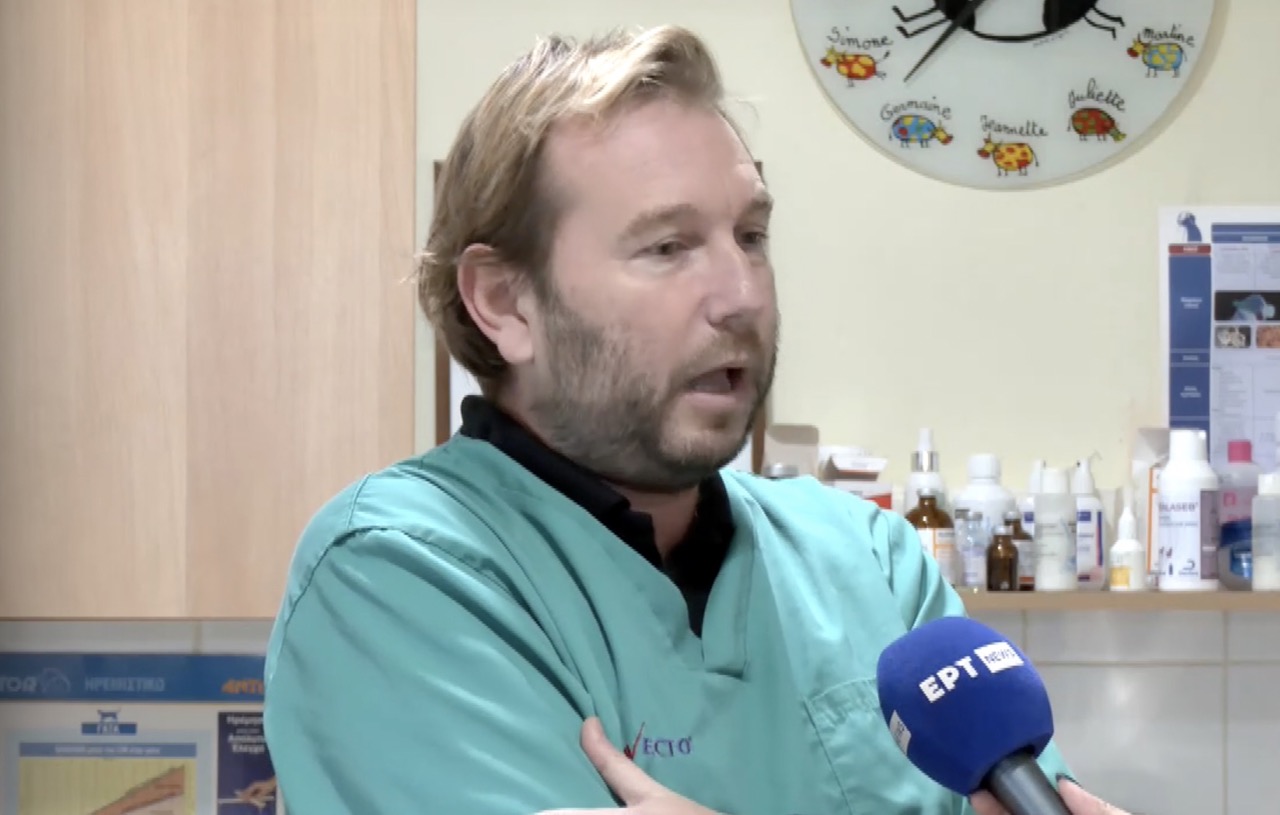 Λάρισα: Αντιδρούν οι κτηνίατροι στο νέο νόμο για τα ζώα συντροφιάς ...