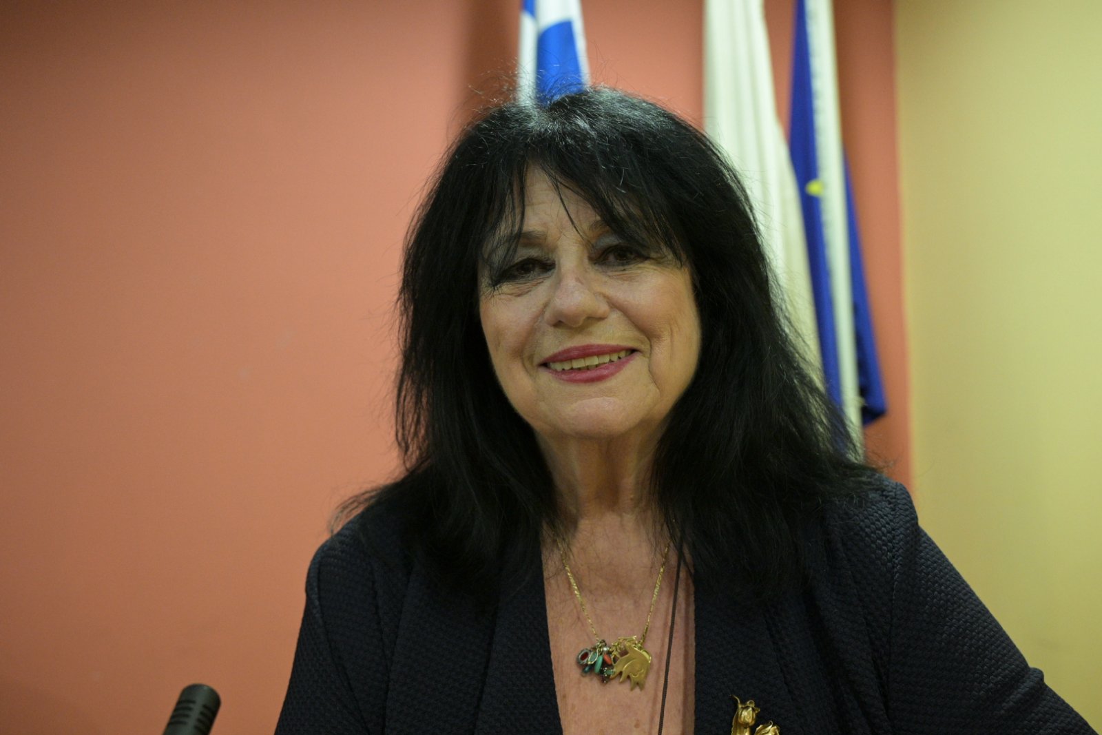 Παρουσιάστηκαν στη Λάρισα οι δέκα προτεινόμενοι του ΣΥΡΙΖΑ για τις ...