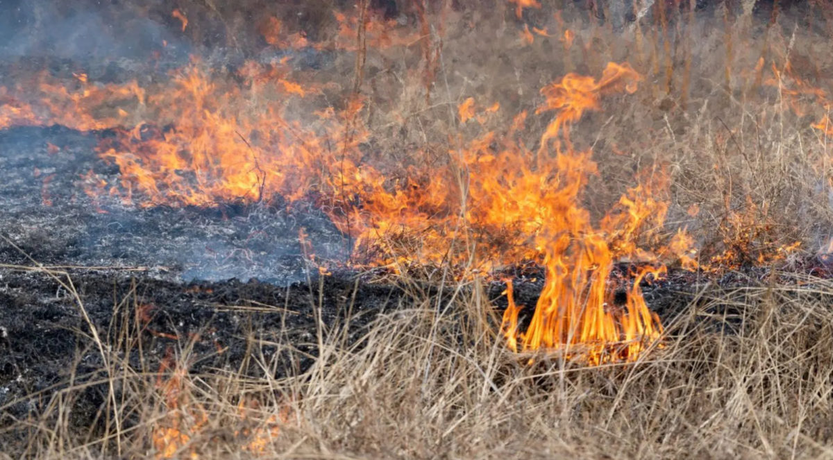 Στις φλόγες υπολείμματα καλλιεργειών σε περιοχή έξω από τη Λάρισα ...
