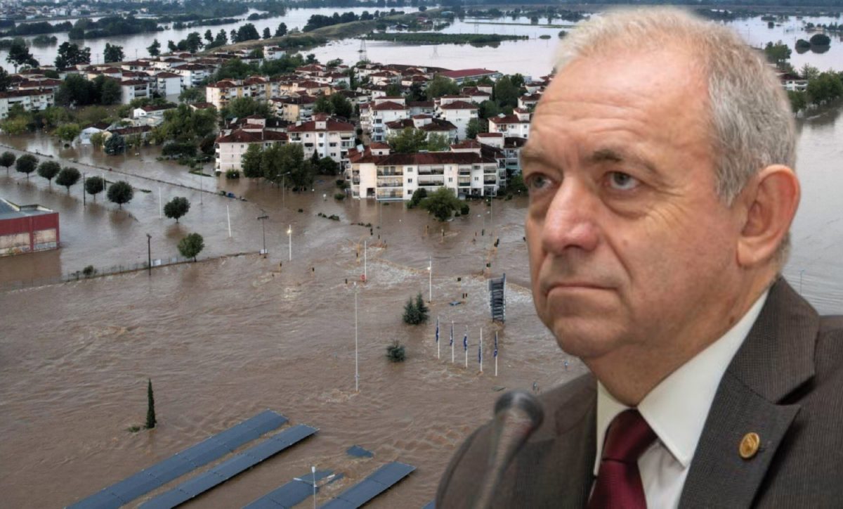 Μια «κόμπρα» αναστάτωσε τους Βολιώτες – Τρόμος από την εμφάνιση του ...