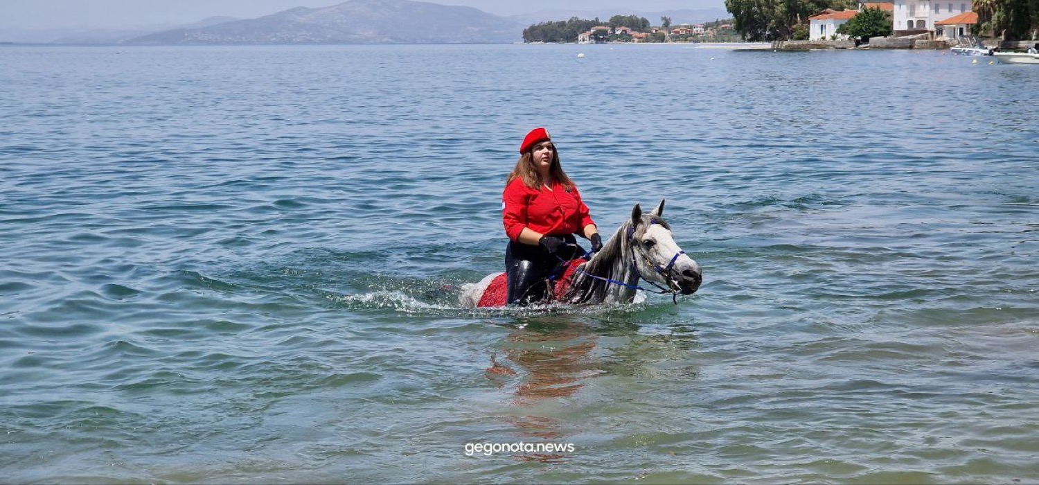 Αγιασμός των αλόγων: Εντυπωσιακές εικόνες από το έθιμο στο Νότιο Πήλιο ...