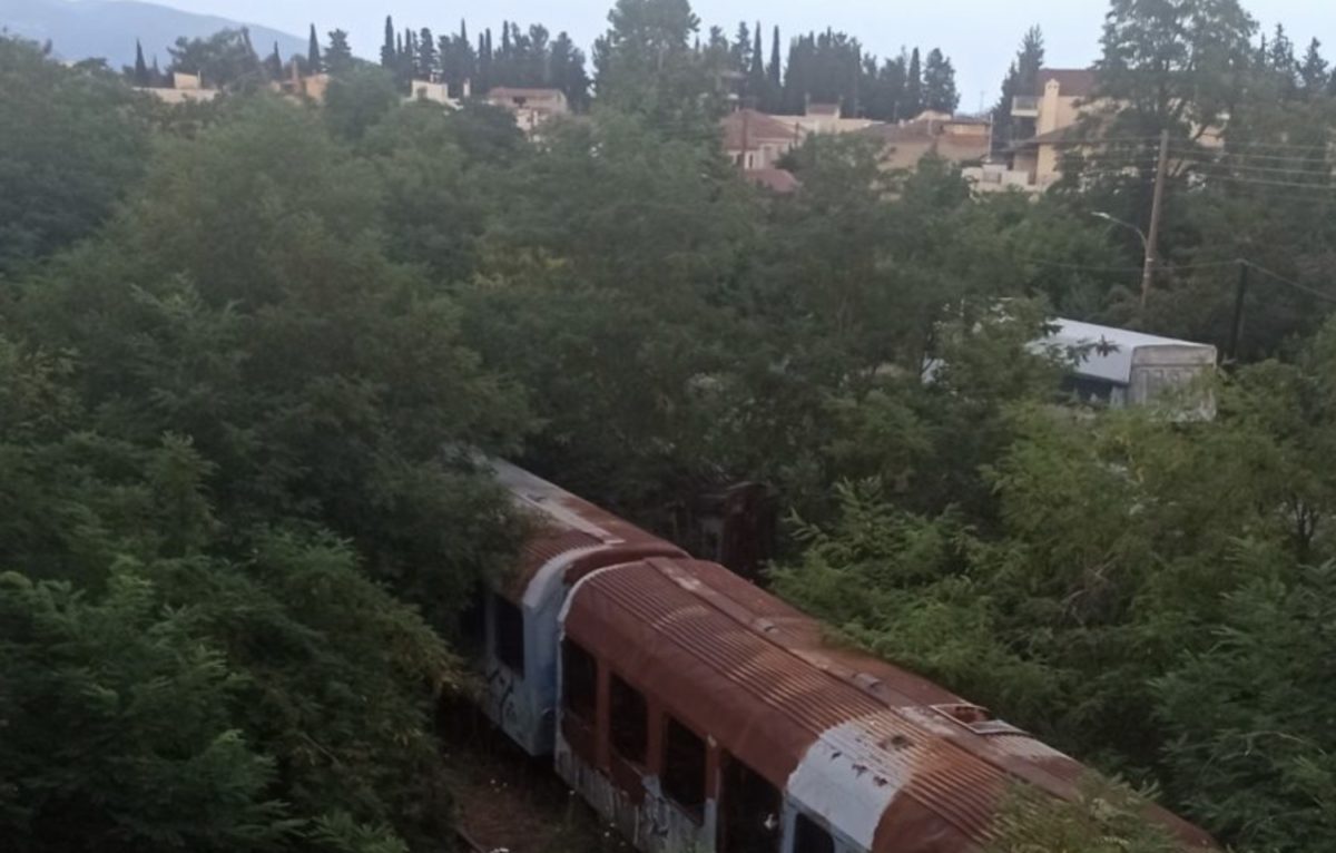 Λάρισα όπως Κολομβία: Οι τριτοκοσμικές εικόνες με τη ζούγκλα και τα ...