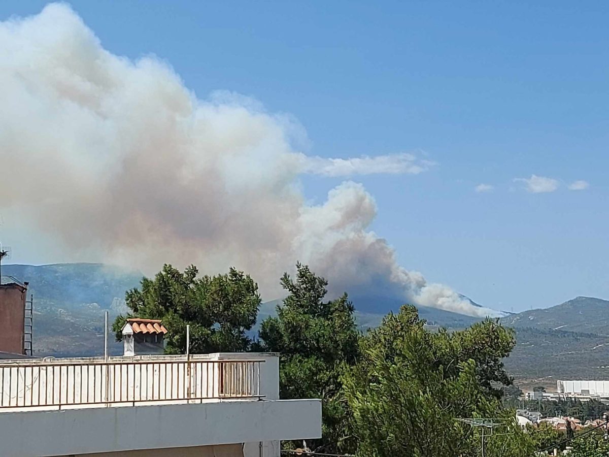Φωτιά στην Πάρνηθα στην περιοχή Κατσιμίδι – Επιχειρούν ισχυρές δυνάμεις ...