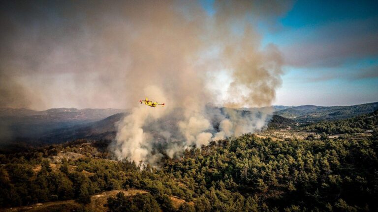 Η Ελλάδα δημιουργεί πρώτη το εθνικό σύστημα ανίχνευσης δασικών ...