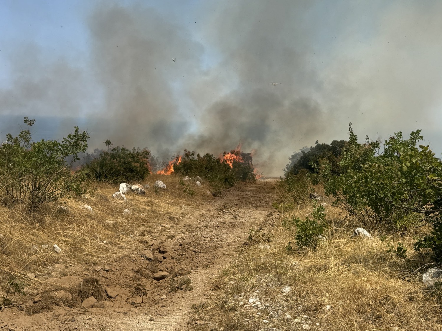Δήμος Δίου-Ολύμπου: Με τη συνδρομή επίγειων και εναέριων μέσων ...