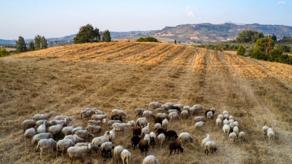 Λάρισα ONLARISSA.GR ενημέρωση, ειδήσεις, νέα για Λάρισα. Θεσσαλία ...