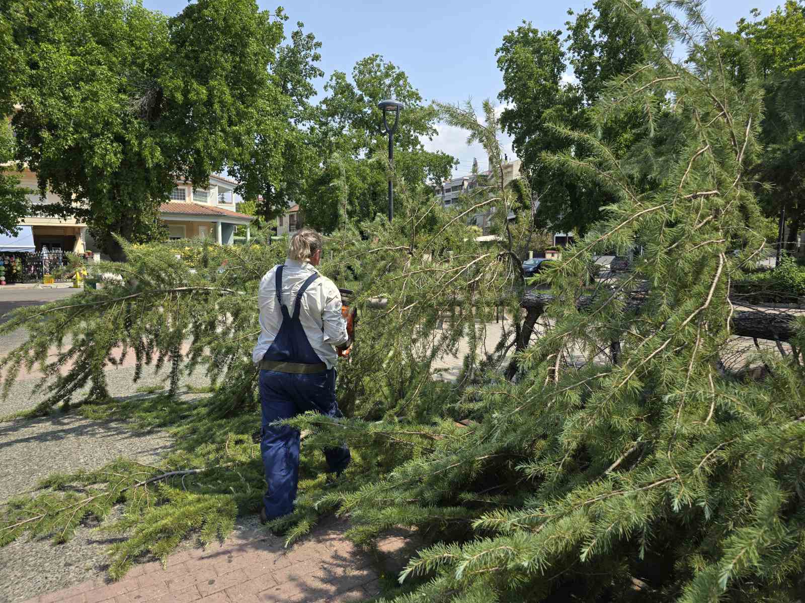 Δήμος Λαρισαίων: Εφιστά την προσοχή των πολιτών με αφορμή των πτώση ...