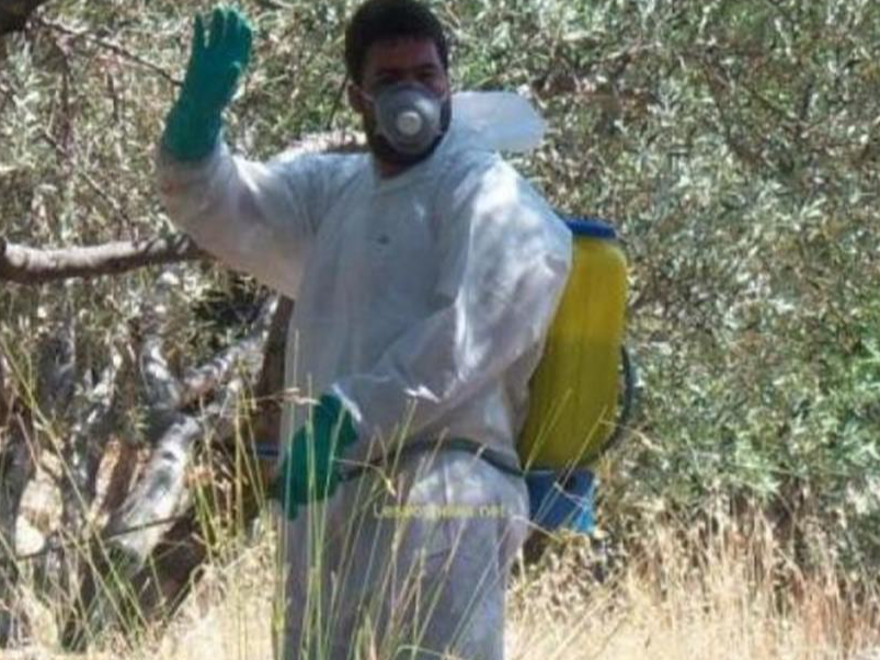 Ψεκασμοί για τον δάκο στους Δήμους Τεμπών, Αγιάς και Ελασσόνας ...