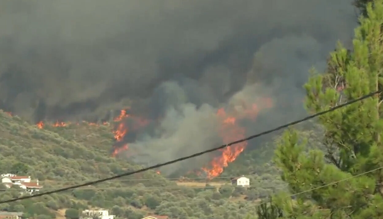 Φωτιά στην Εύβοια: Ανατράπηκε πυροσβεστικό όχημα – Ελαφρά τραυματίας ο ...