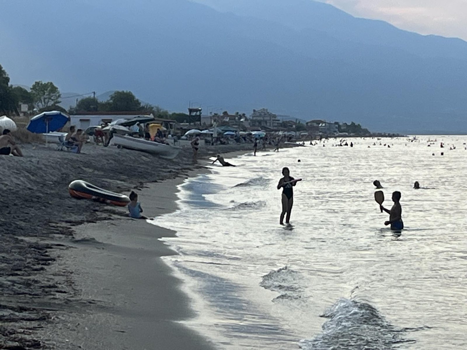 Τσούχτρες αγνοούνται φέτος στα παράλια της Λάρισας – Τι συμβαίνει με το ...