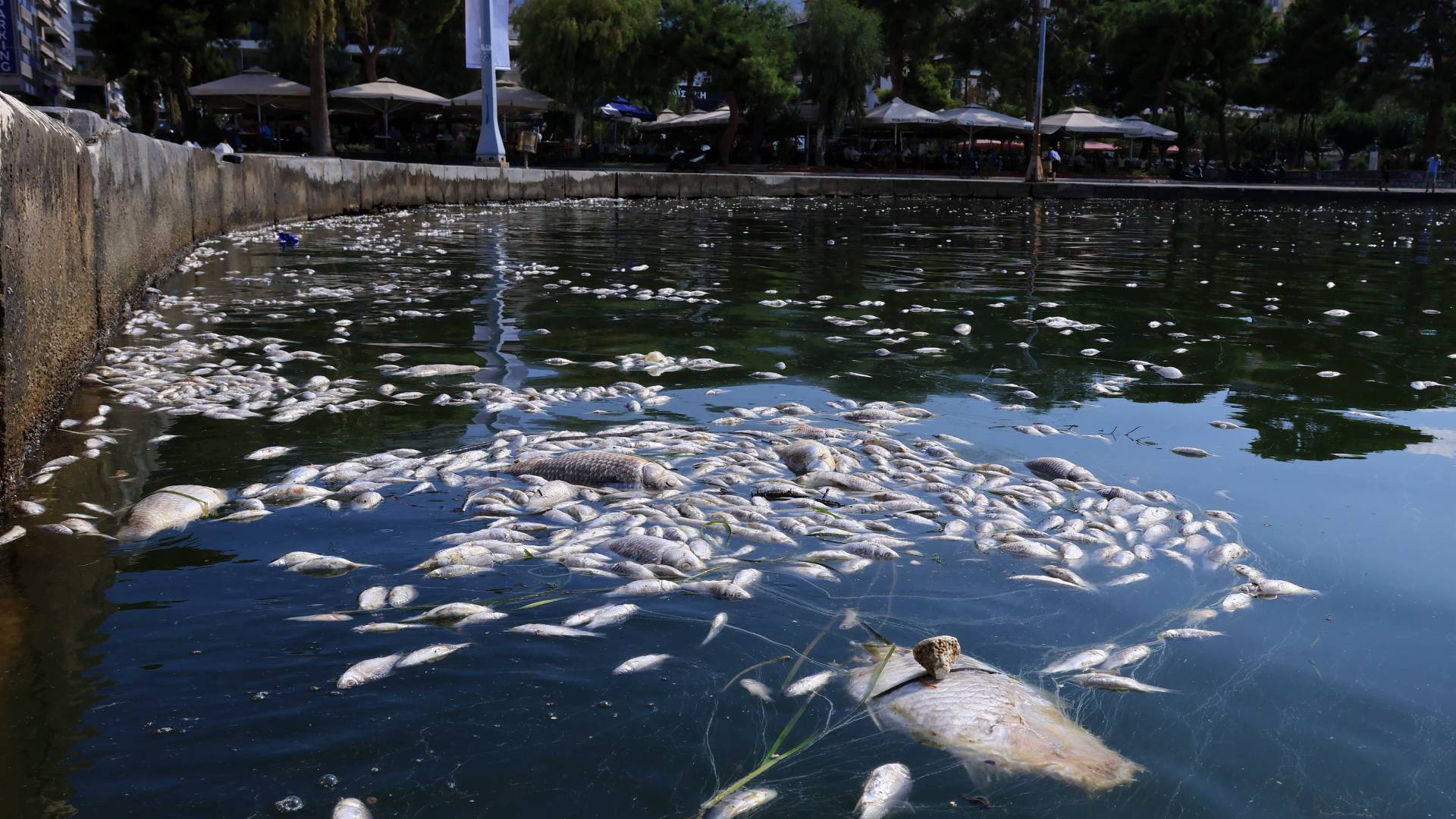 «Πλώρη» για Λάρισα βάζουν οι αγανακτισμένοι επιχειρηματίες της ...