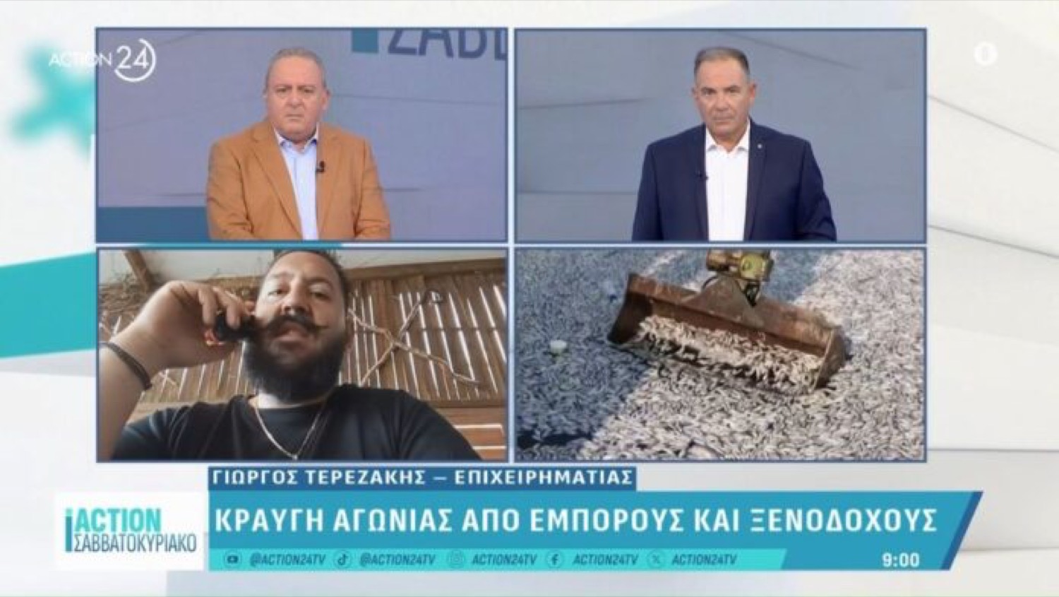 Βόλος: Τα νεκρά ψάρια βάζουν «λουκέτο» στα καταστήματα εστίασης ...