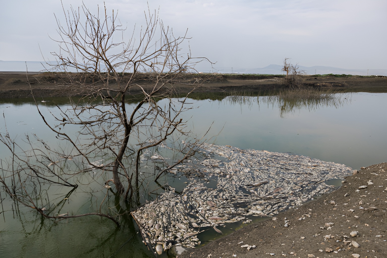 Λίμνη Κάρλα: Η αποξήρανση της λίμνης και το νέο τοπίο από τα πλημμυρικά ...