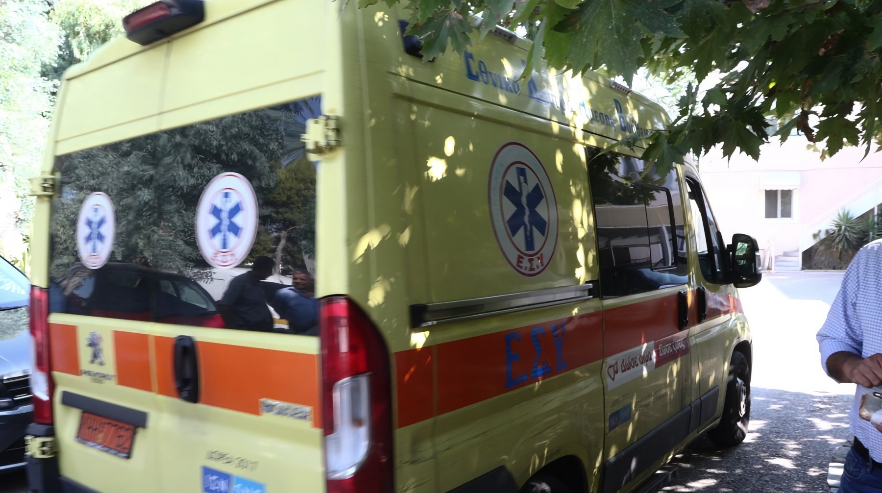 Λάρισα: Αναστάτωση στο ΕΚΑΒ - Μέλισσες τσίμπησαν πατέρα και τα δύο του ...