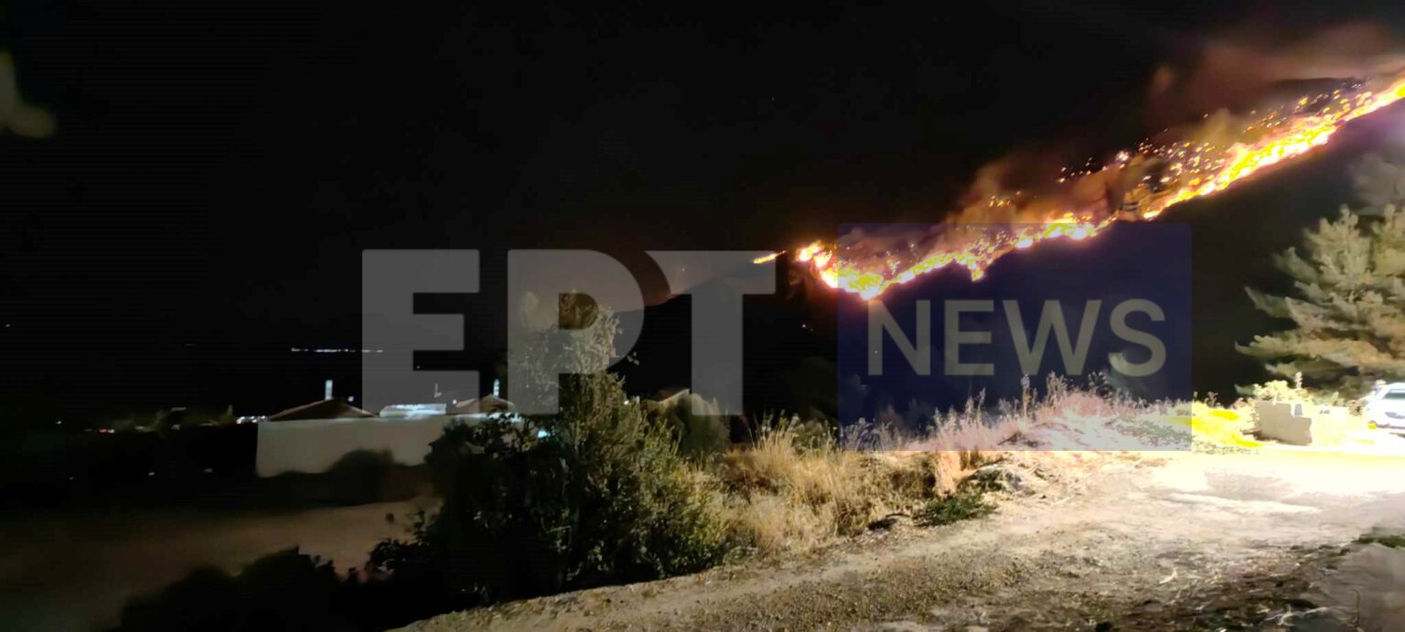 Νύχτα εφιάλτης στην Κορινθία: Βρέθηκαν δύο νεκροί στην Άνω Πιτσά – 30 ...