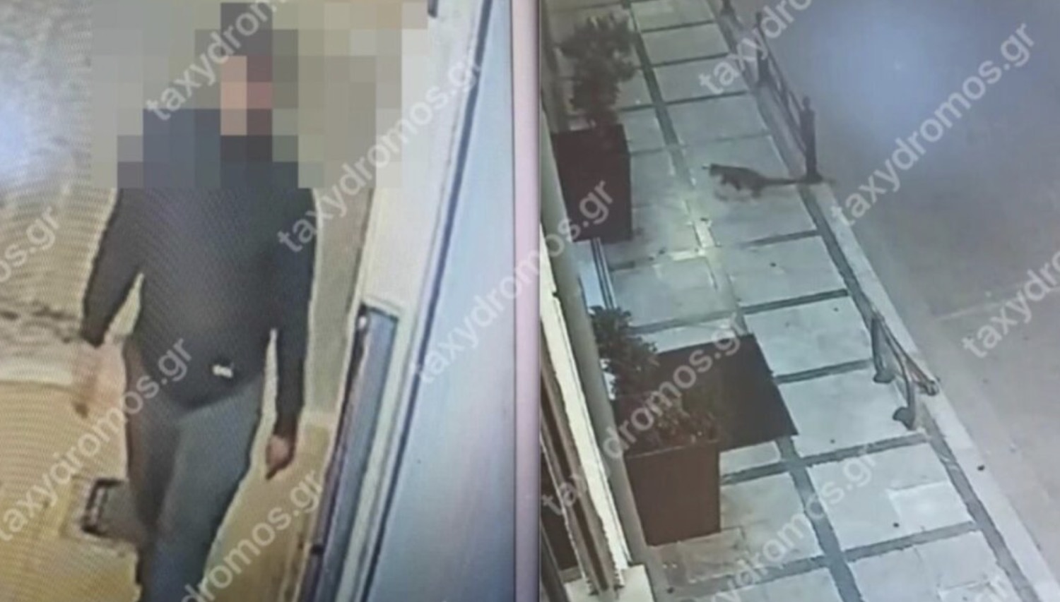 Η μητέρα του 31χρονου είχε υποπτευθεί τον γιο της ως τον serial killer ...