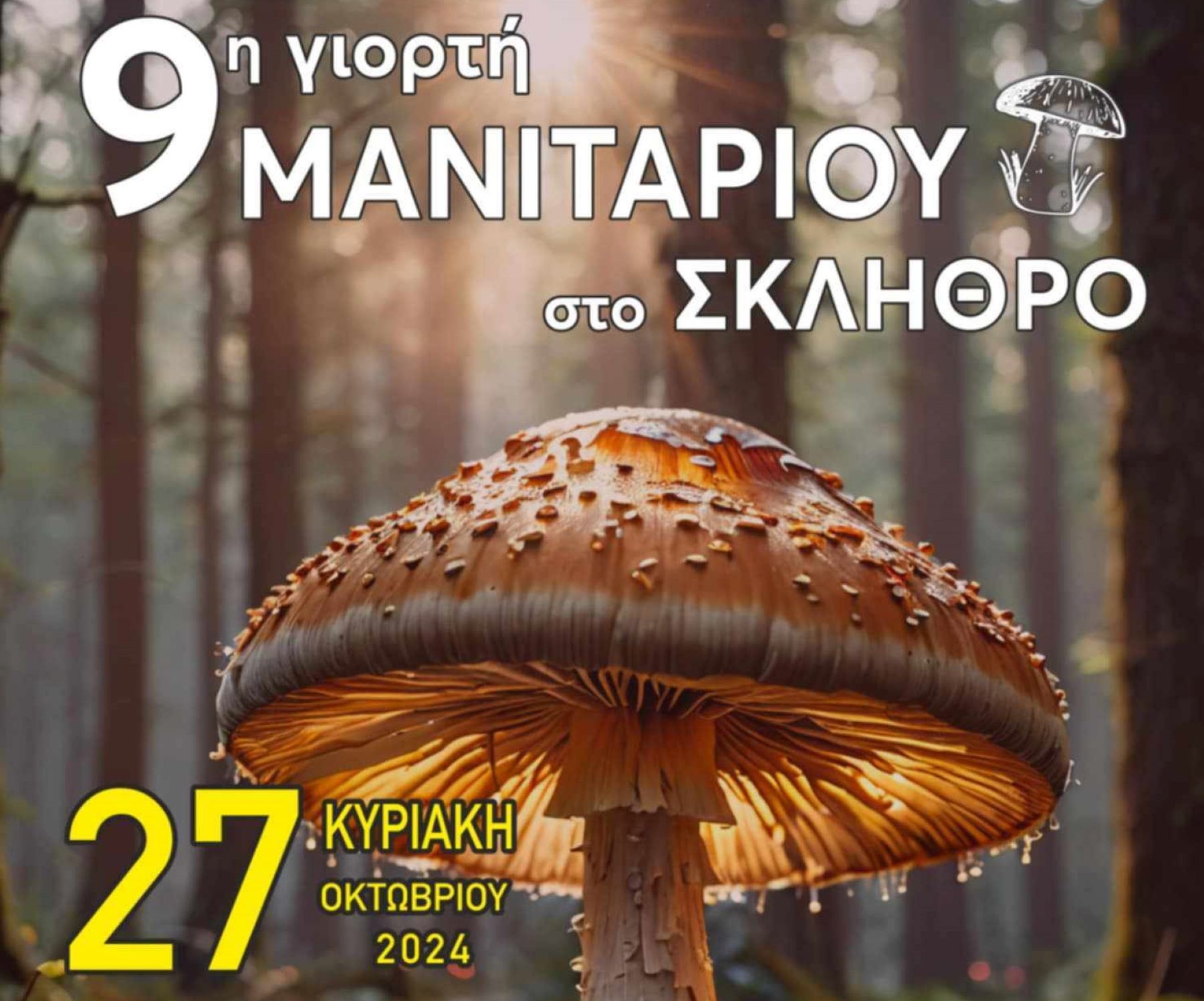 «Ραντεβού» στο Σκλήθρο Αγιάς δίνουν οι μανιταρόφιλοι - Αύριο, Κυριακή ...